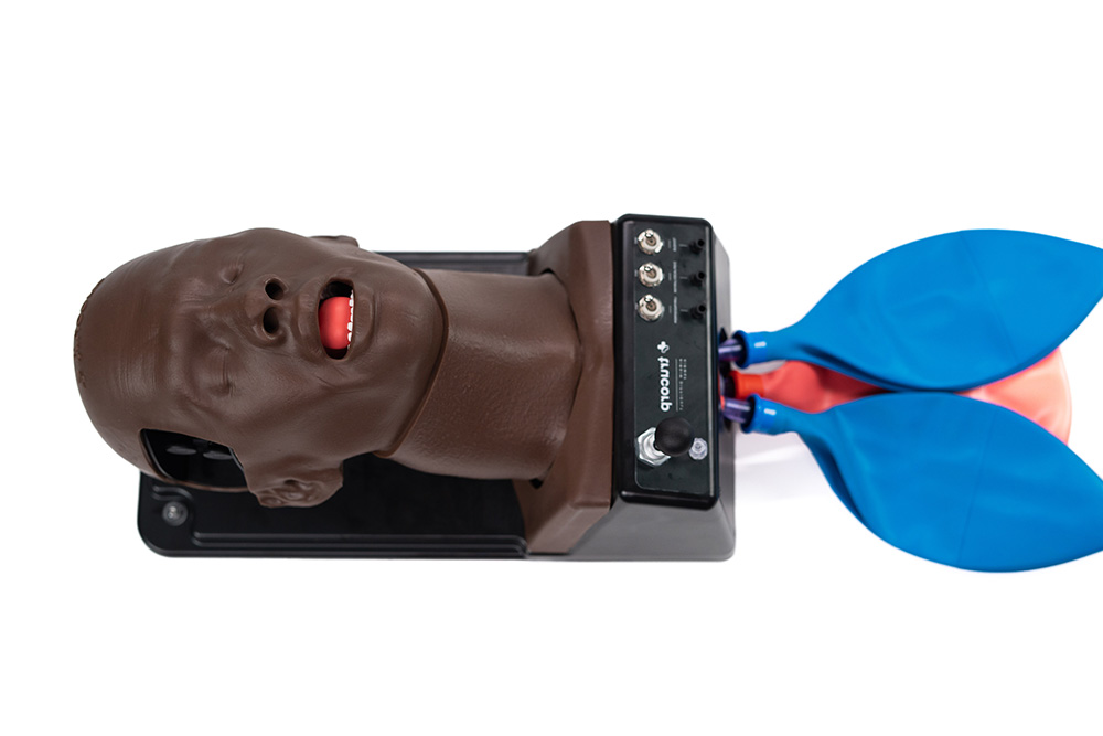 AirSim Difficult Airway Training Manikin with Bronchi from TruCorp ...
