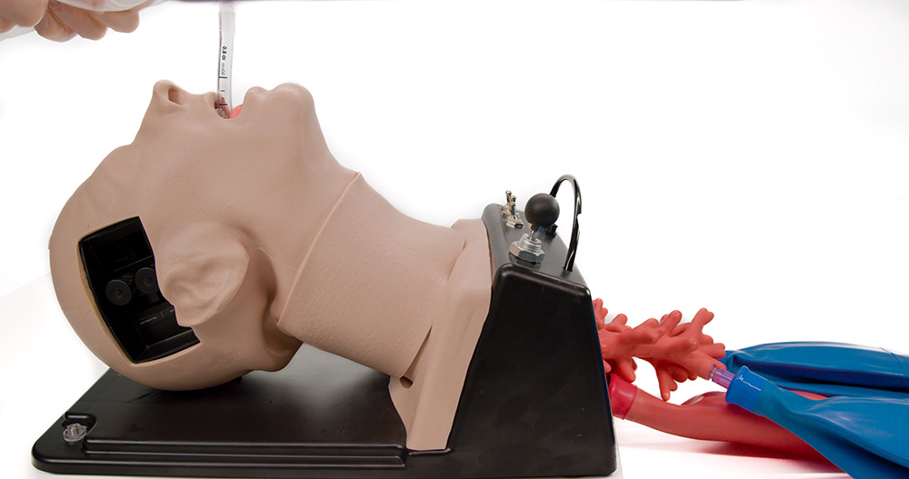 AirSim Difficult Airway Training Manikin with Bronchi from TruCorp ...