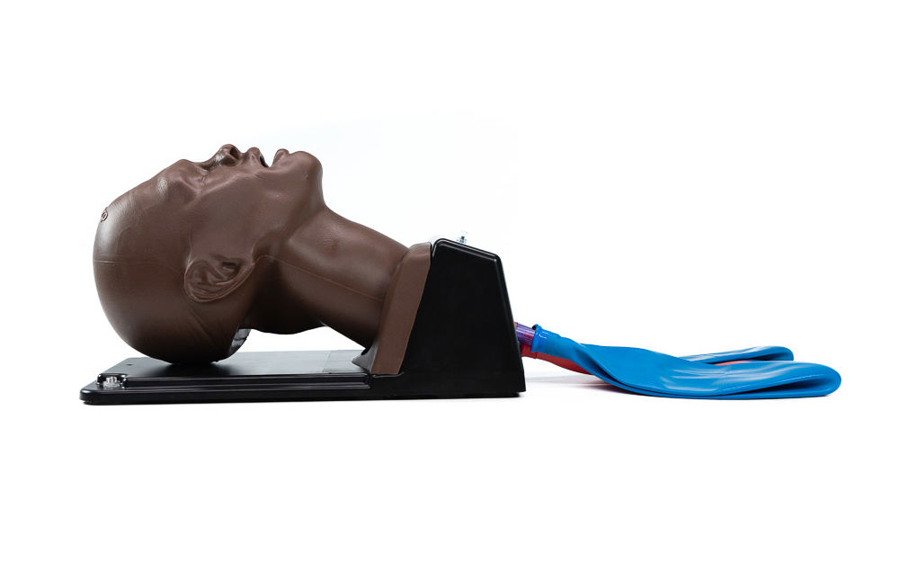 Airway Management | Medical Simulation Equipment | Limbs & Things UK