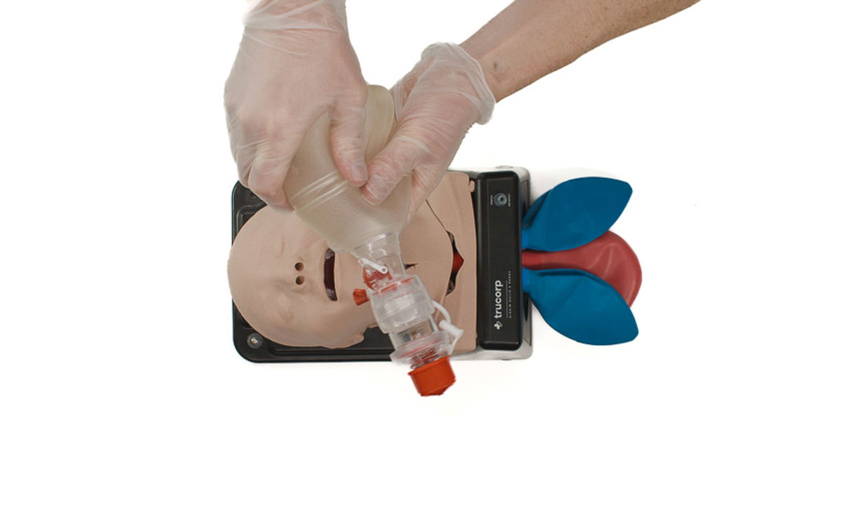 Airway Management | Medical Simulation Equipment | Limbs & Things UK