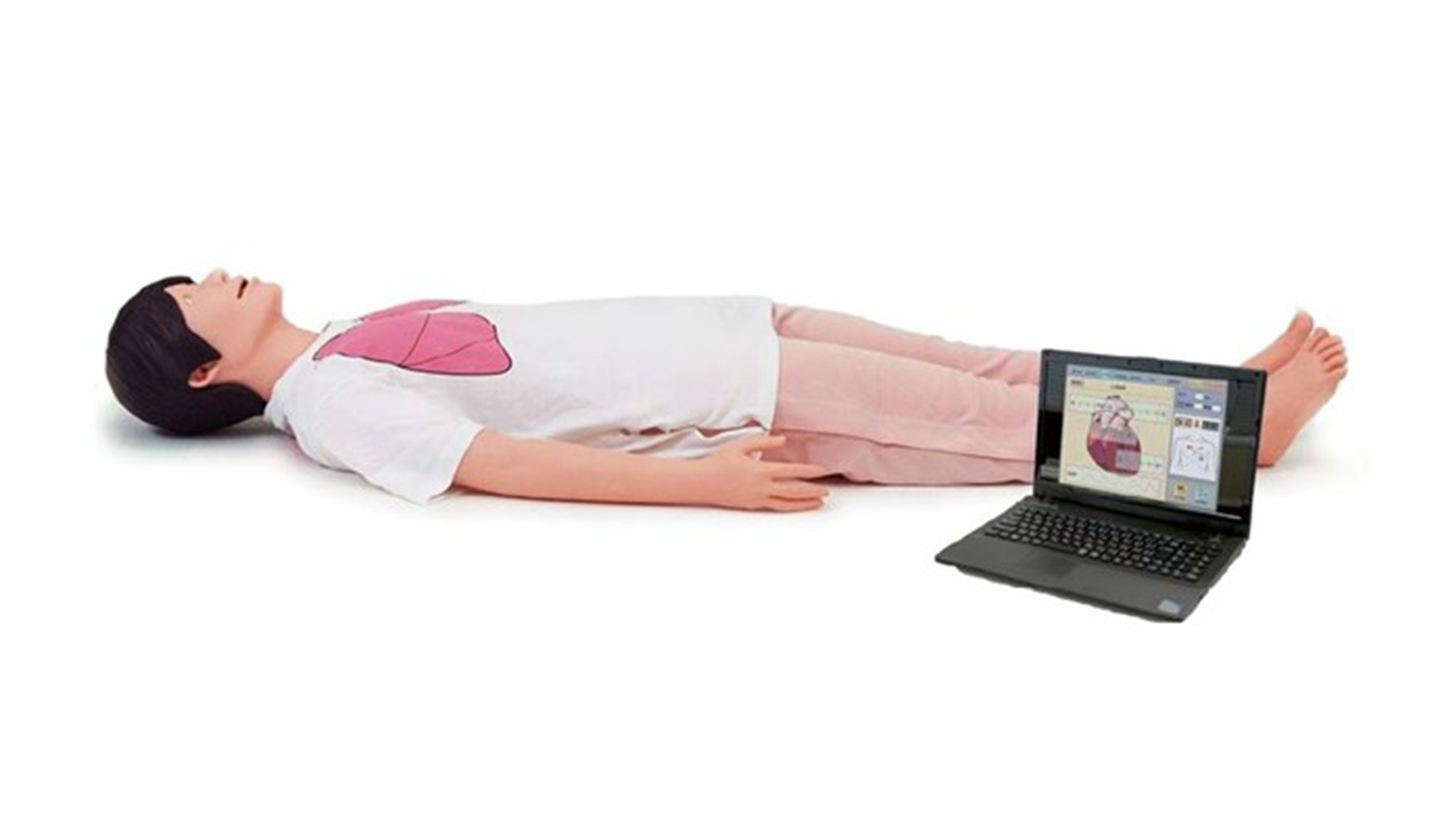 KKM55C- "Physiko Plus" Physical Assessment Simulator | Limbs & Things UK