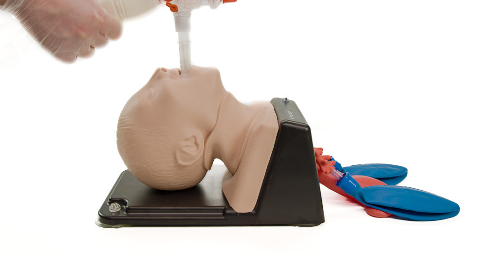 AirSim Combo Bronchi X | Cricothyrotomy & Bronchoscopy Trainer | Limbs ...