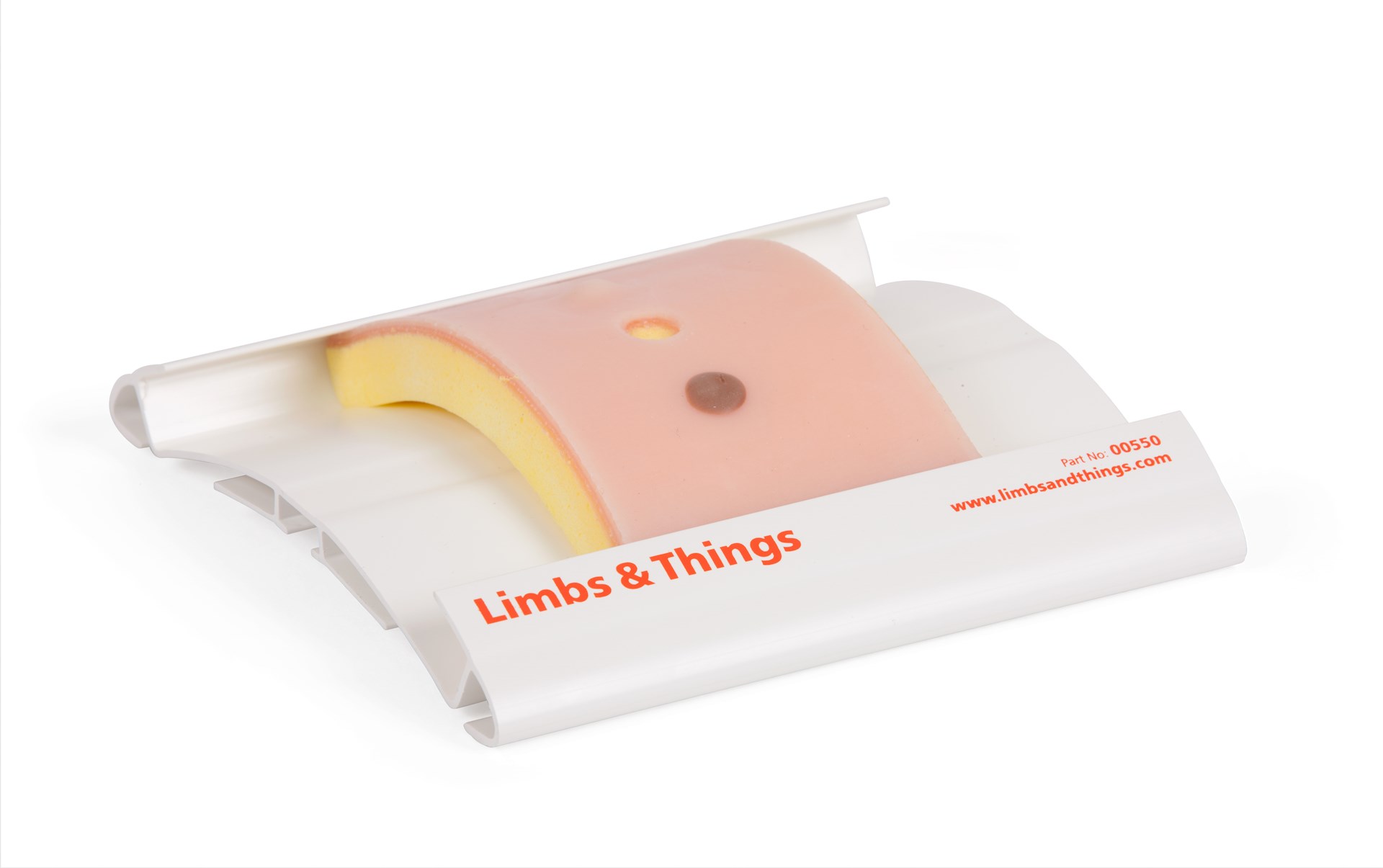 Dental Lesions Pad | Limbs & Things US
