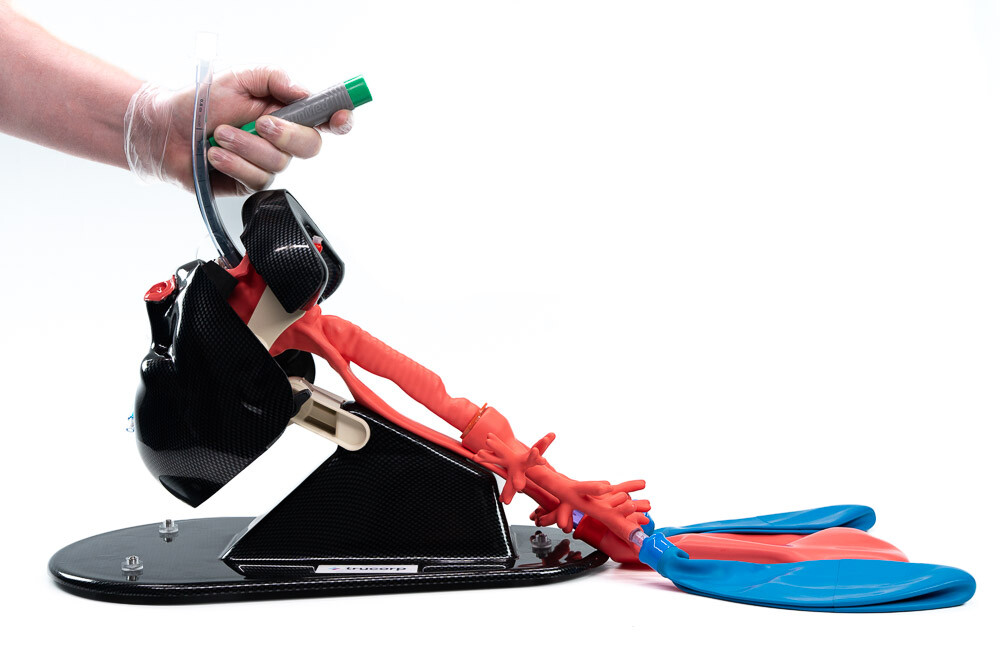 AirSim Bronchi airway management trainer by Trucorp | Limbs & Things UK