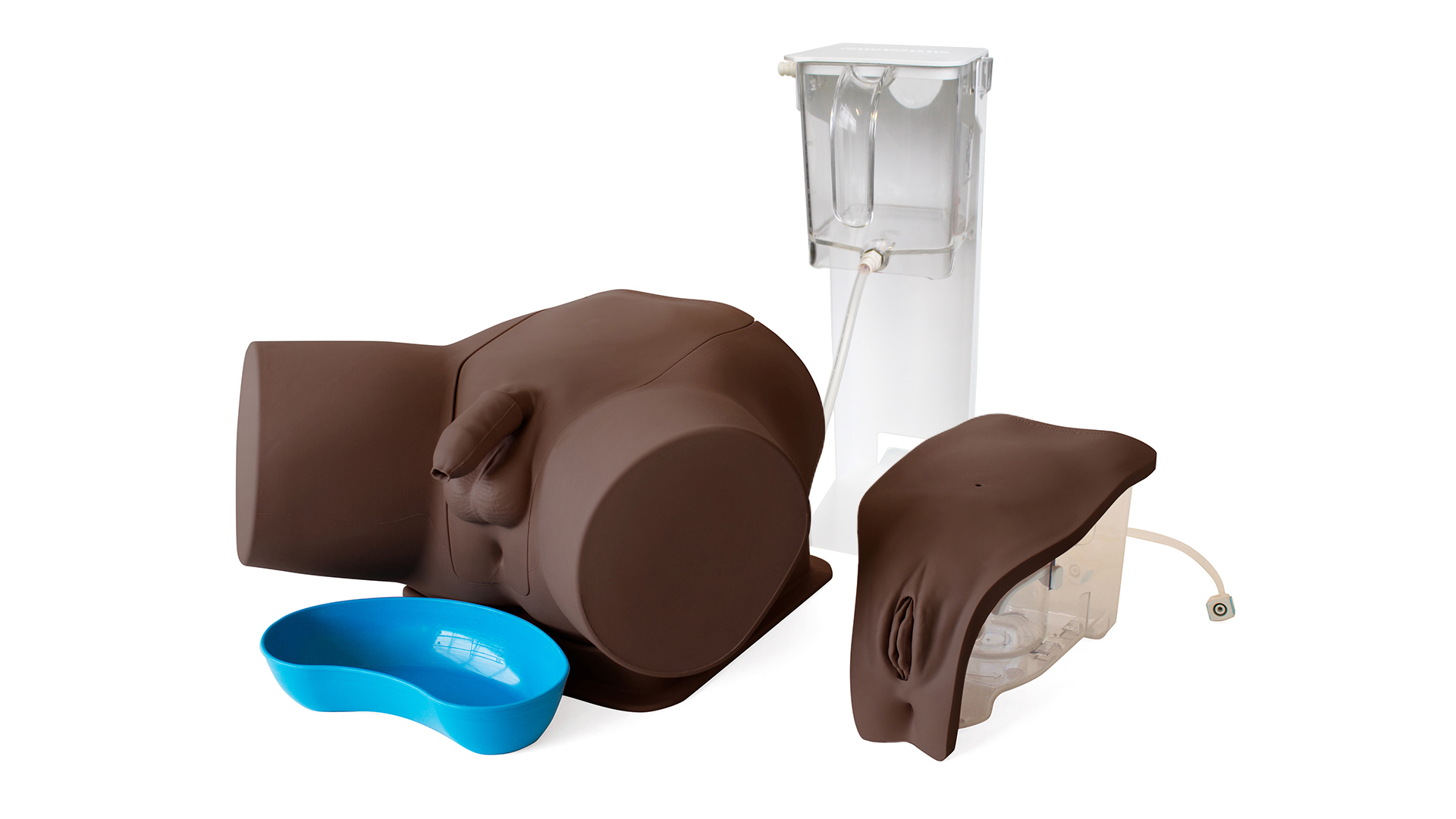 Standard Catheterization Trainer Set (Dark Skin Tone) | Limbs & Things ...