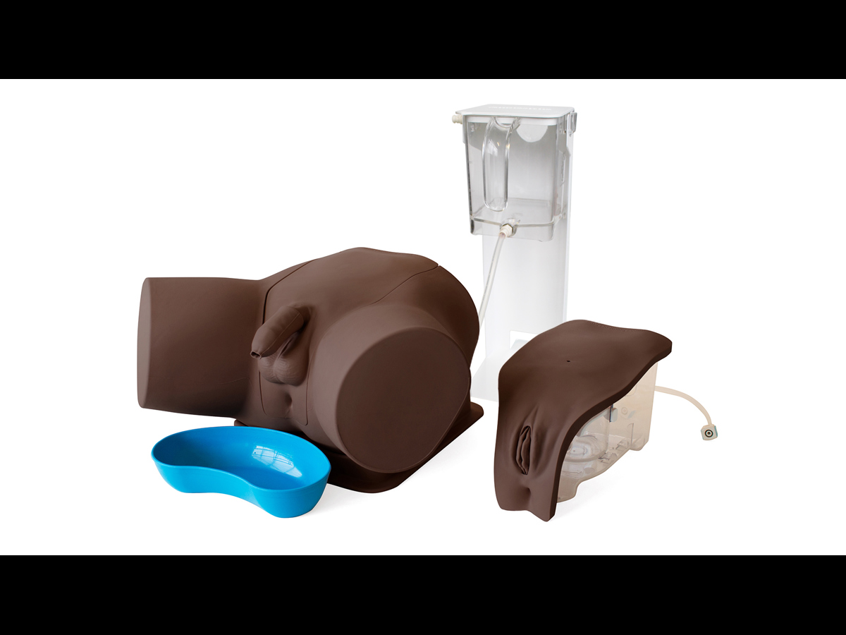 Standard Catheterization Trainer Set (Dark Skin Tone) | Limbs & Things UK