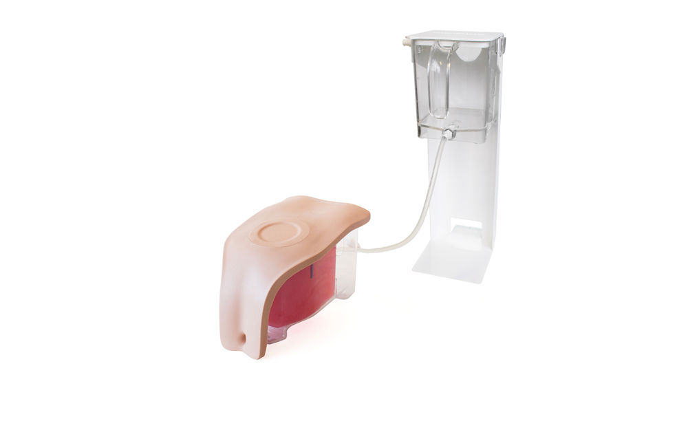 Female Catheterization Module (Light Skin Tone) | Limbs & Things Global