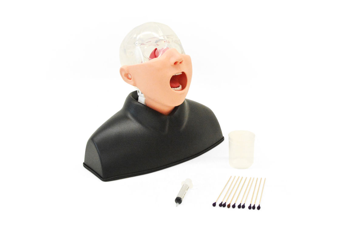 Ear, Nose and Throat (ENT) | Simulation Equipment for ENTs