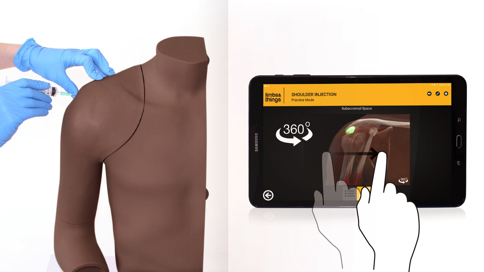 Shoulder Injection Trainer - Palpation Guided (Dark Skin Tone) | Limbs ...