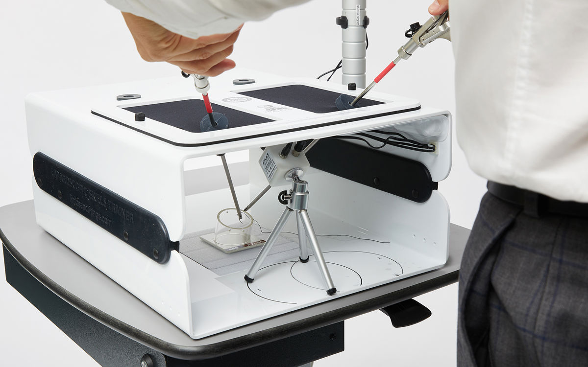 About Limbs & Things | Limbs & Things US