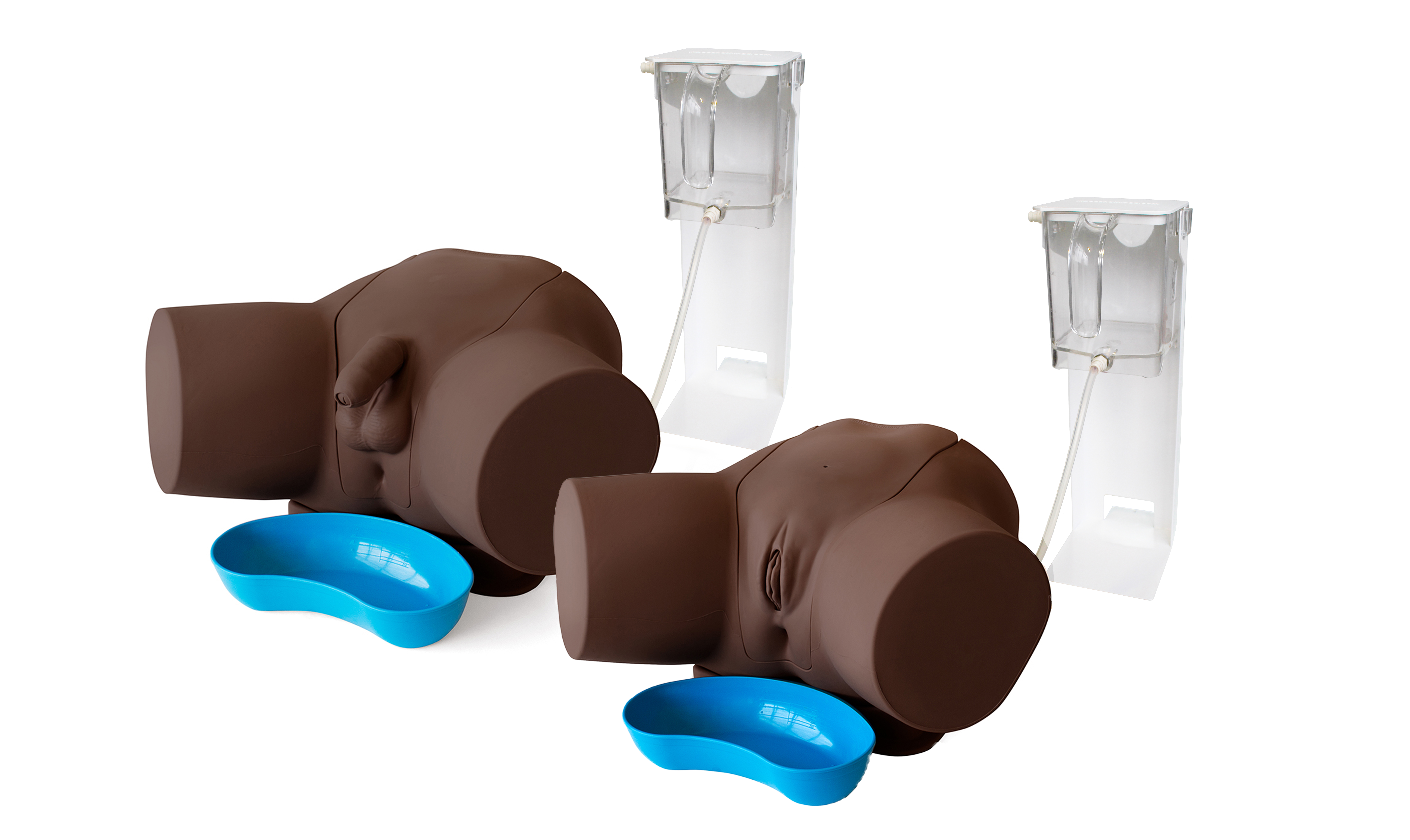 Advanced Catheterization Trainer Set (Dark Skin Tone) | Limbs & Things UK