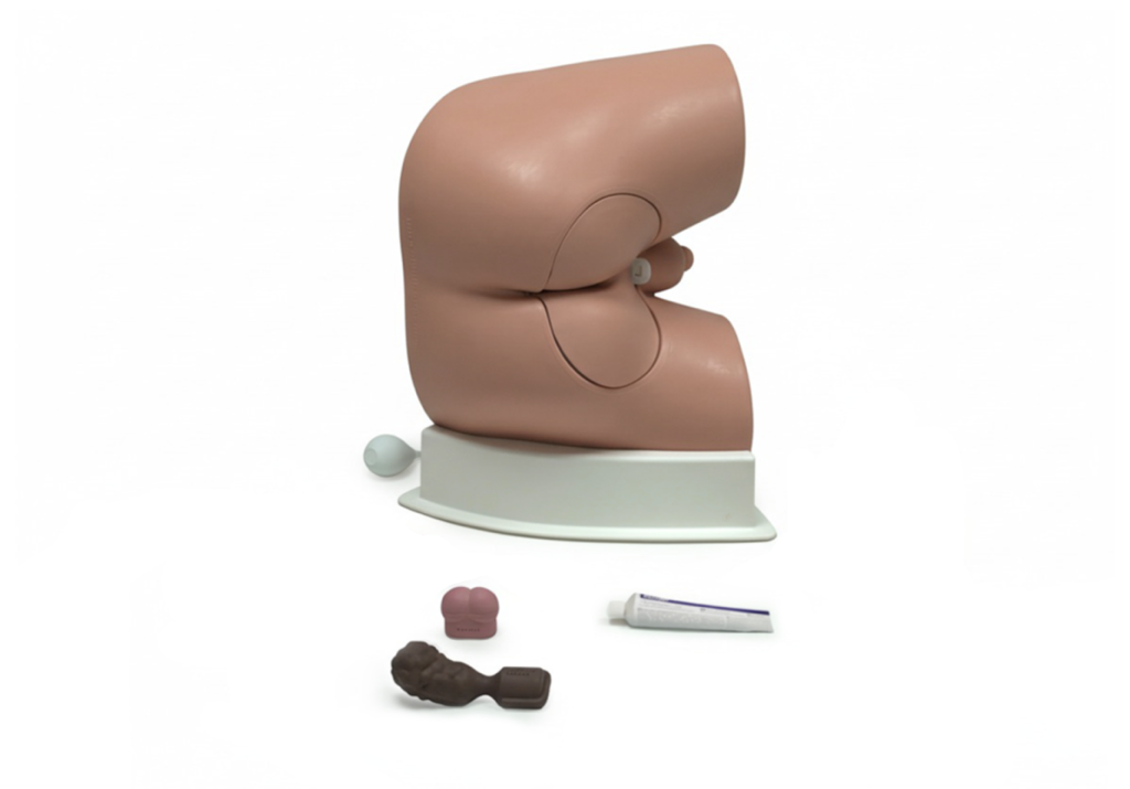 Male Rectal Examination Trainer - Standard (Light Skin Tone) | Limbs ...