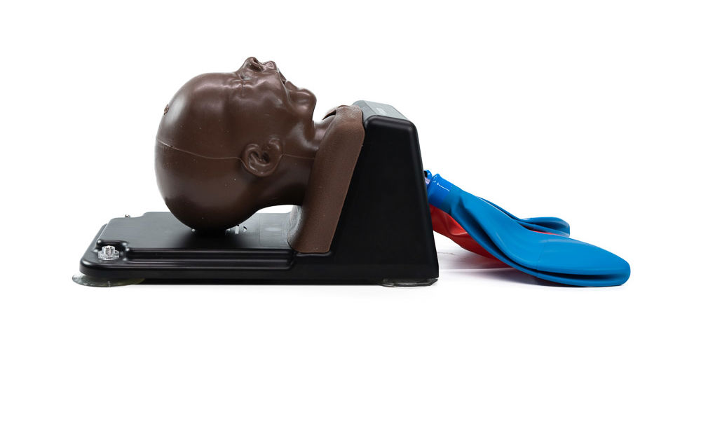 Airway Management | Medical Simulation Equipment | Limbs & Things UK