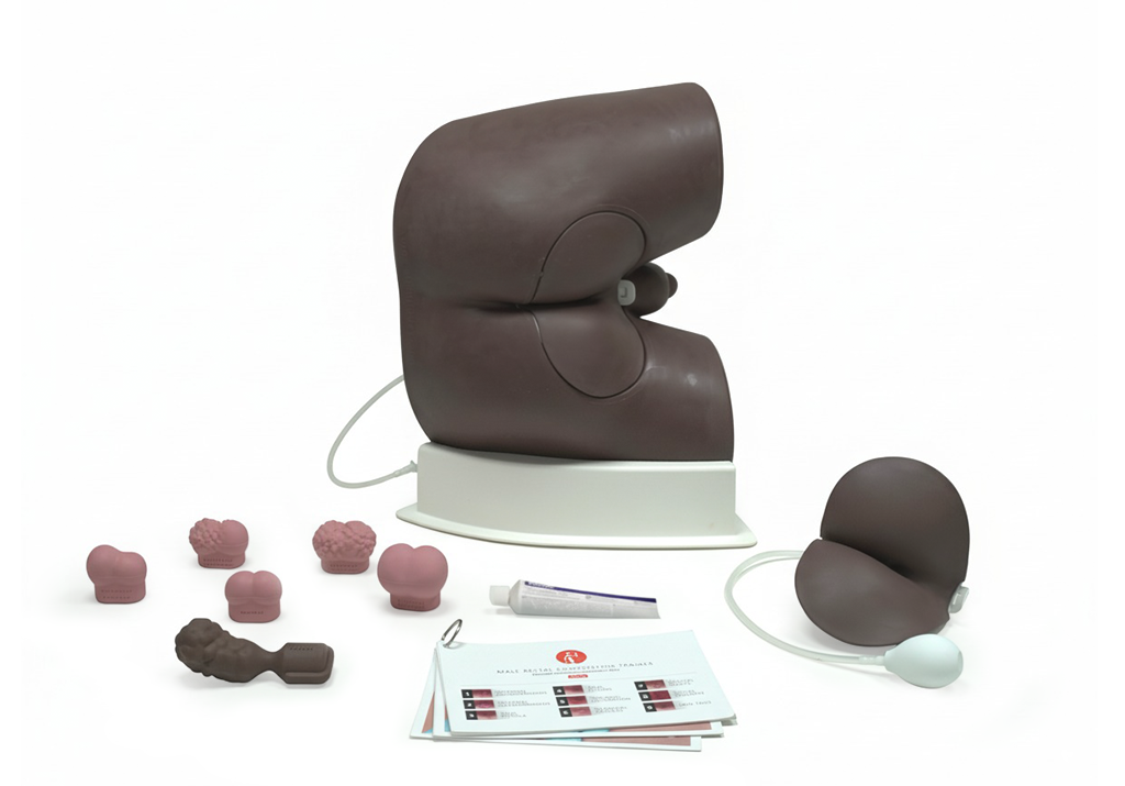 Male Rectal Examination Trainer - Advanced (Dark Skin Tone) | Limbs ...