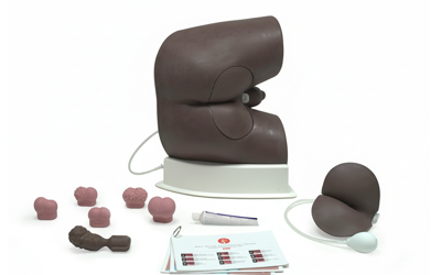 Male Rectal Examination Trainer - Standard (Light Skin Tone) | Limbs ...