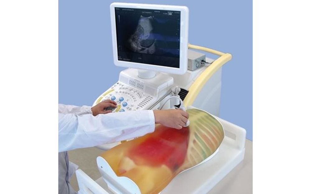 Female Pelvic Ultrasound Phantom | Limbs & Things US