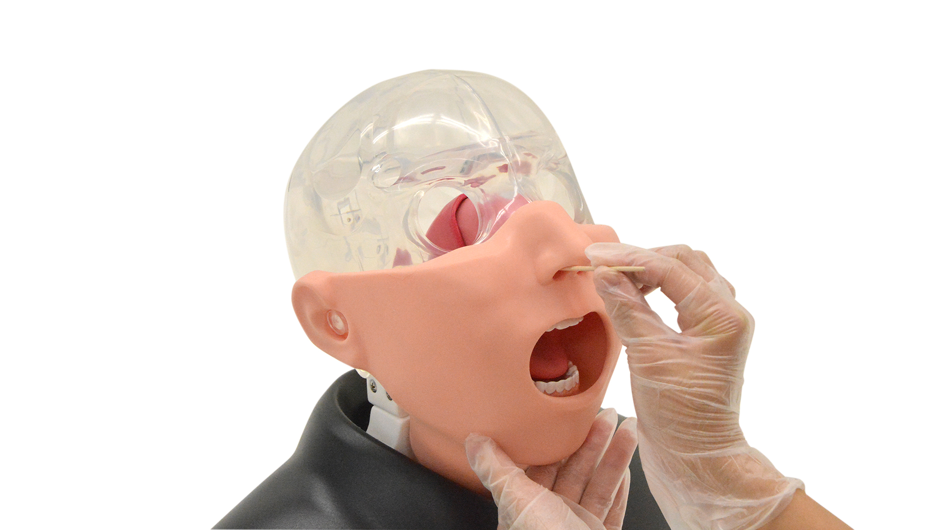 KKMW45 - Nasopharyngeal Swab Collection Simulator | Limbs & Things Global