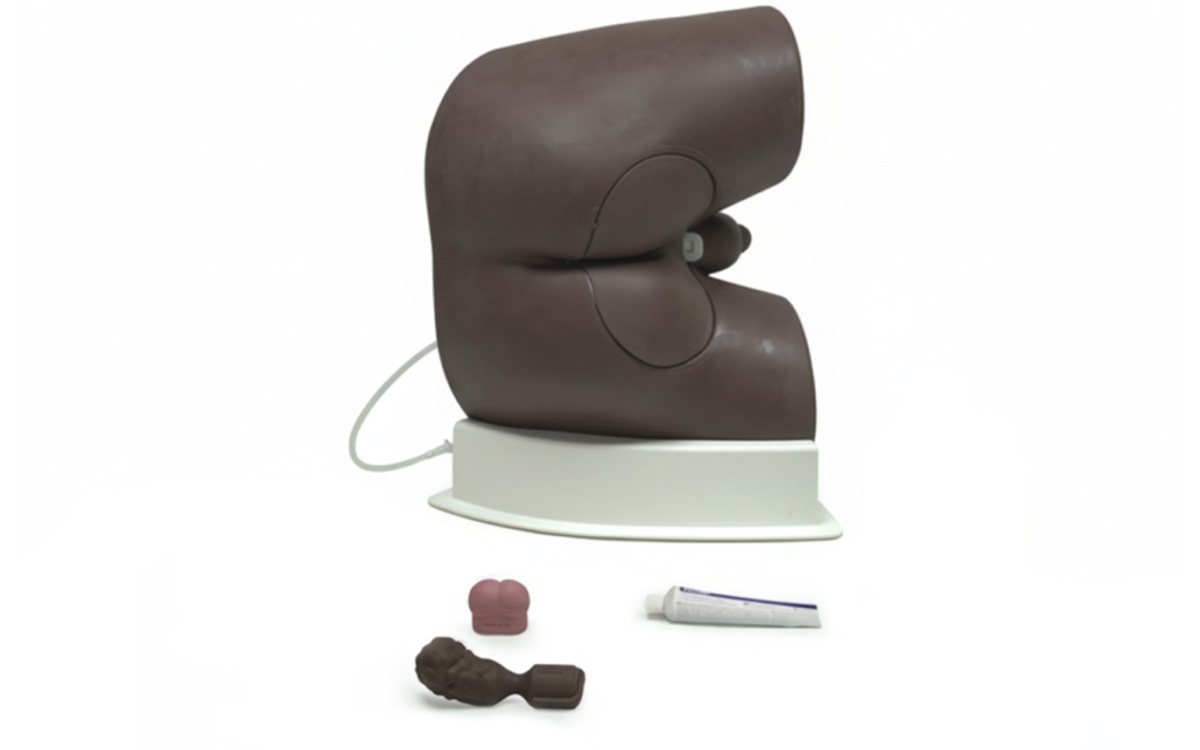 Male Rectal Examination Trainer - Standard (Light Skin Tone) | Limbs ...