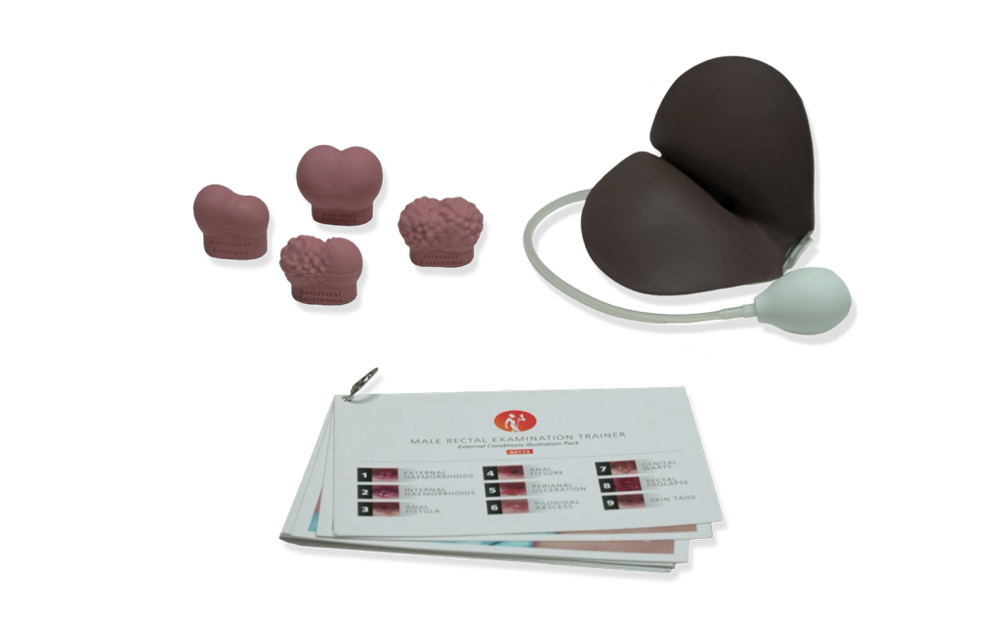 Male Examination | Task Trainers for Simulation Training