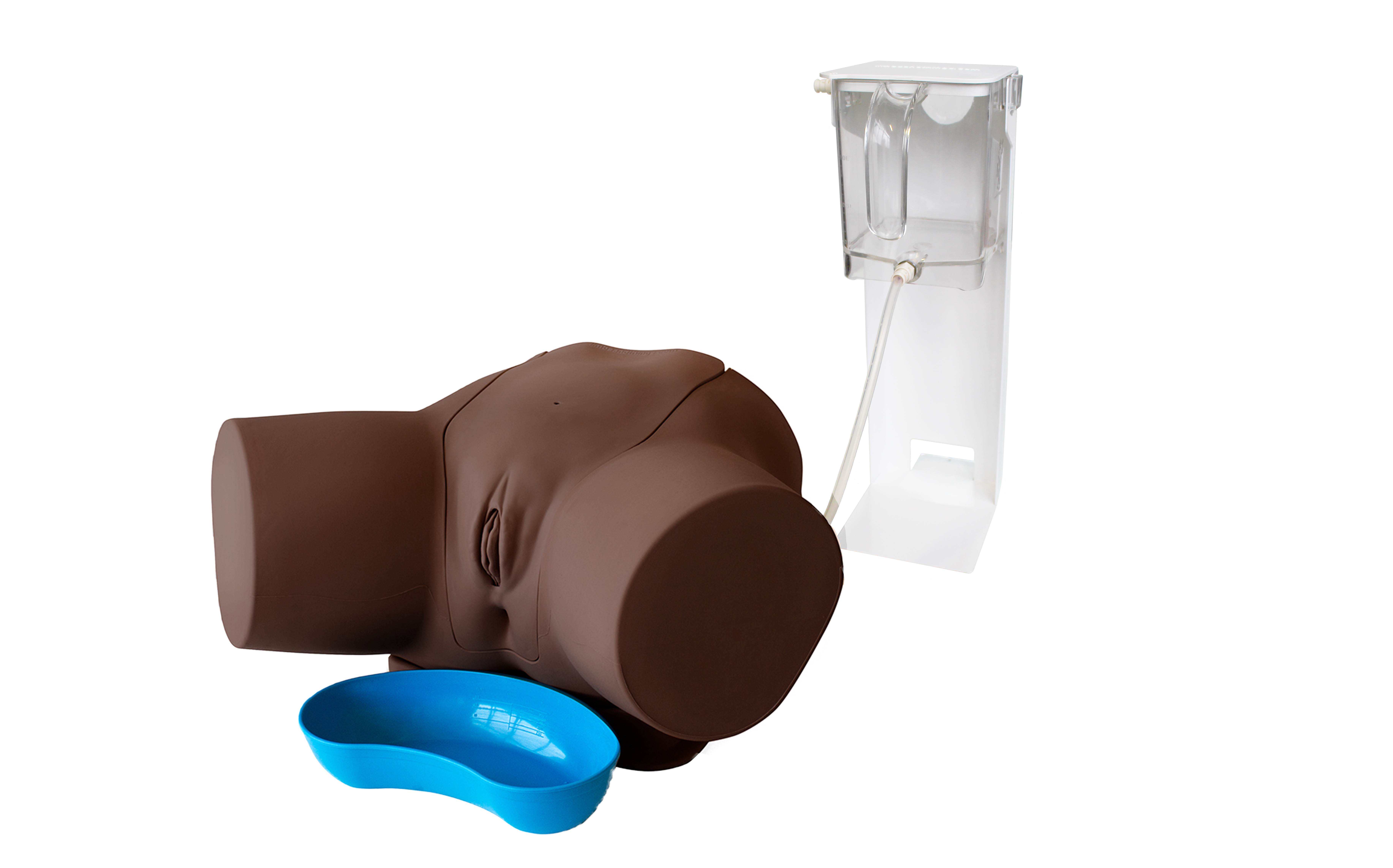 Female Catheterization Trainer (Dark Skin Tone) | Limbs & Things UK