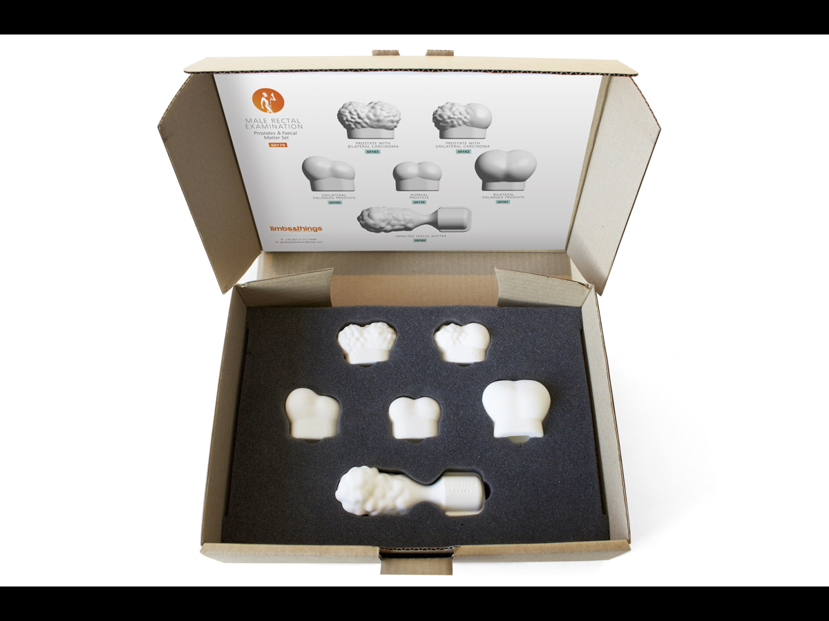 Male Rectal Examination Prostates & Faecal Matter Set | Limbs & Things ...