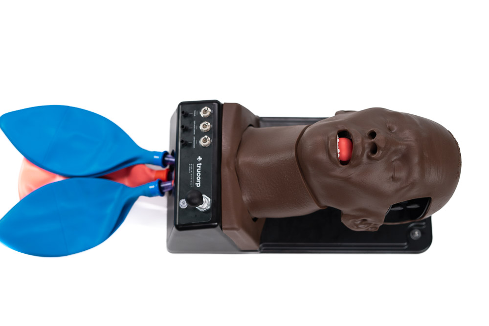 AirSim Difficult Airway Training Manikin (Dark Skin Tone) | Limbs ...