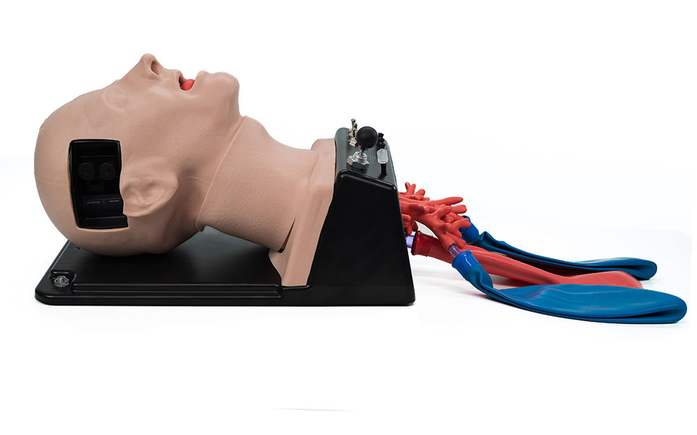 AirSim Difficult Airway Training Manikin (Dark Skin Tone) | Limbs ...