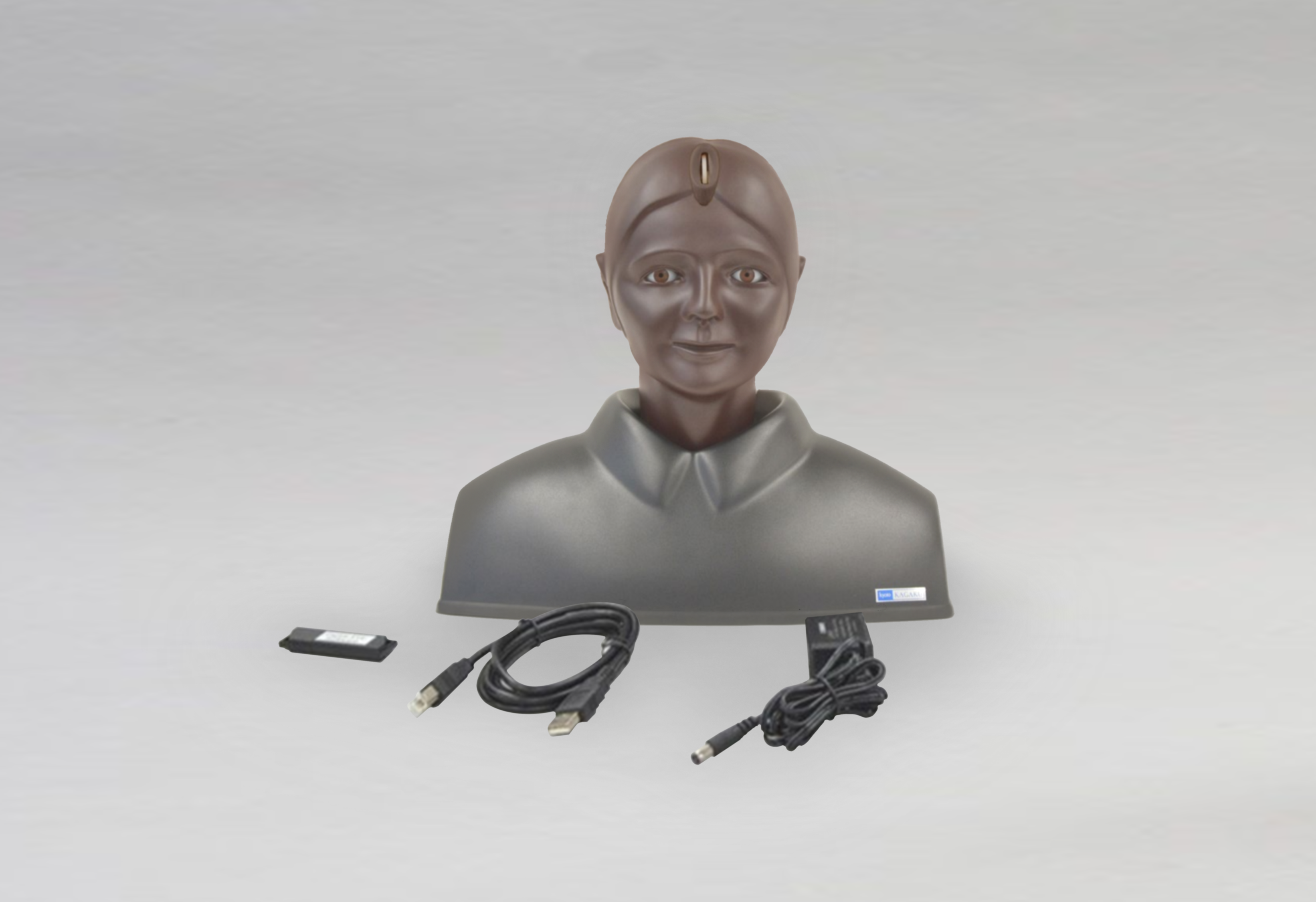 Digital Eye Examination Simulator (DST) | Kyoto Kagaku | Limbs & Things UK