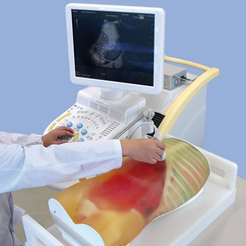 Simulation models for Ultrasound training | Limbs & Things US