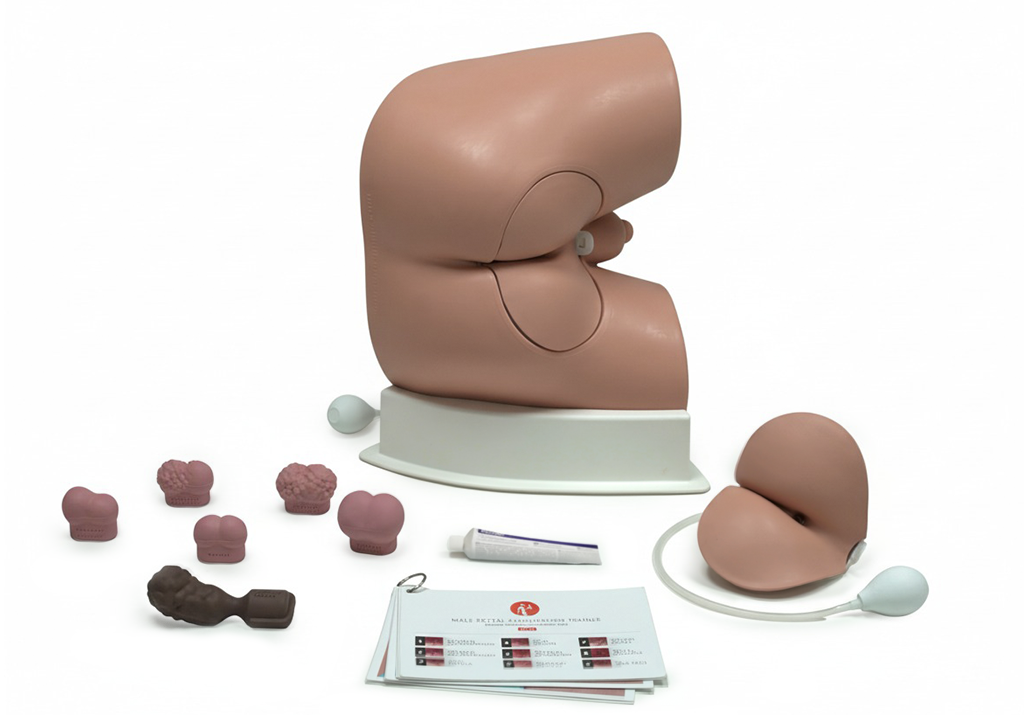 Male Rectal Examination Trainer - Advanced (Light Skin Tone) | Limbs ...