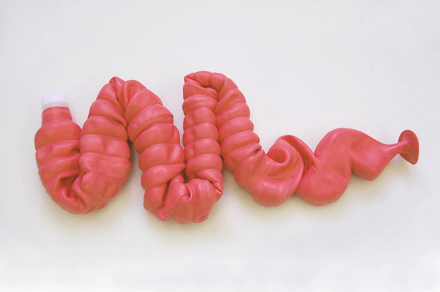 Colon-Rectum Tube | Colonoscopy Training Model | Limbs & Things US