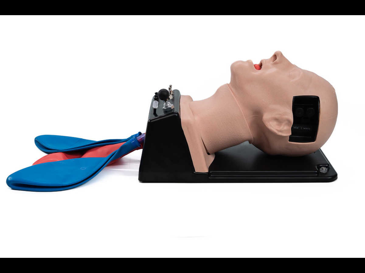 AirSim Difficult Airway Training Manikin from TruCorp | Limbs & Things UK
