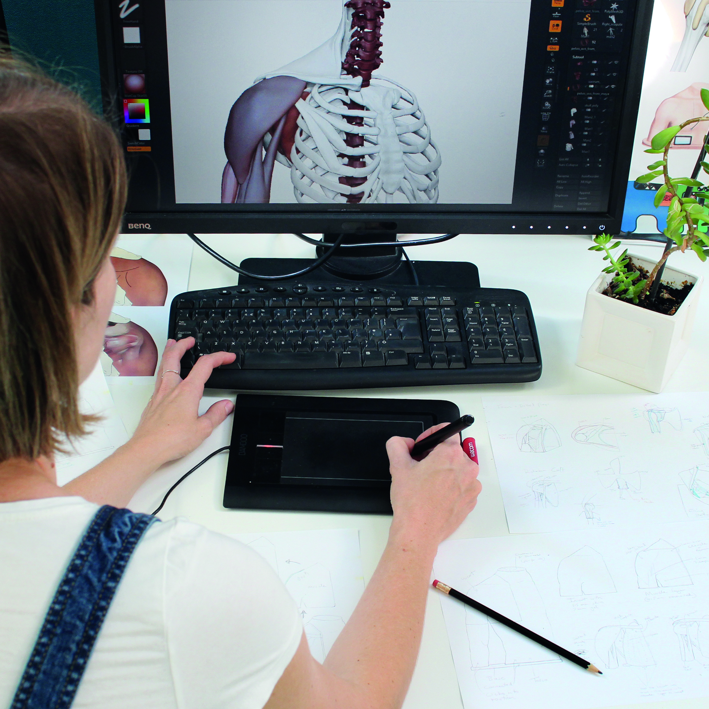 US | Limbs & Things US