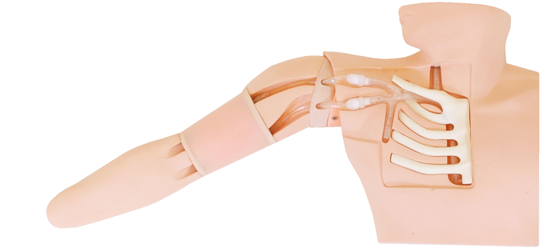 KKMW18 - Ultrasound Guided PICC Training Simulator | Limbs & Things ...