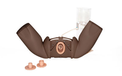 PROMPT Flex product range | Birthing Simulator | Limbs & Things US